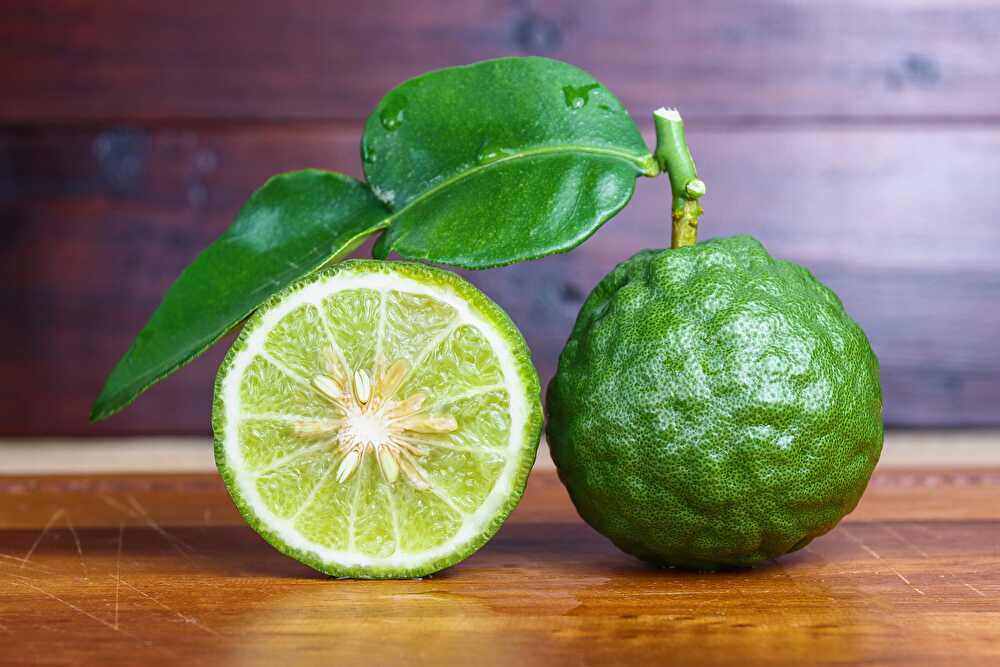 Les recettes avec des combavas - RecettesMania