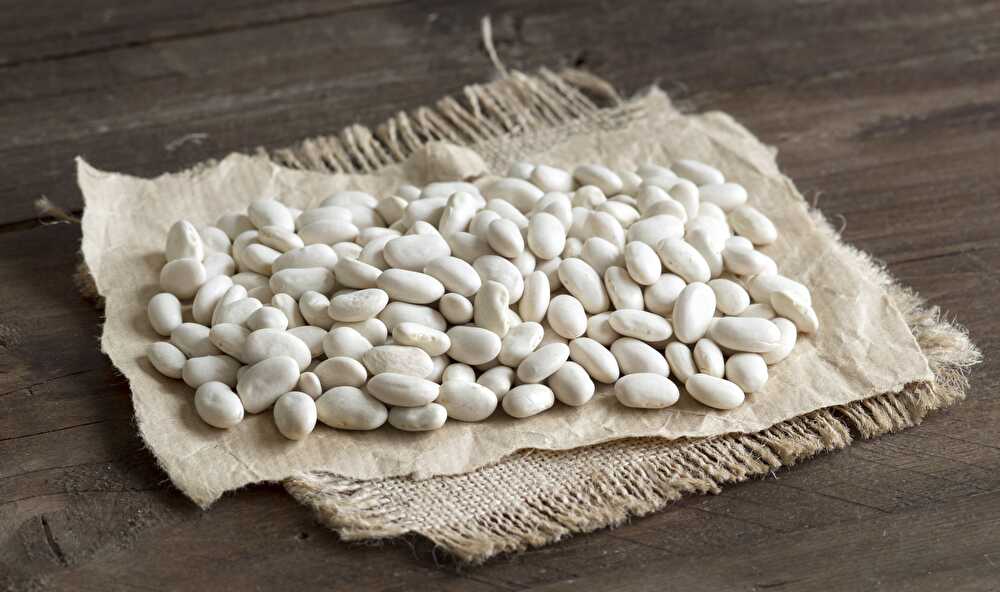 Les recettes avec des haricots blancs - RecettesMania