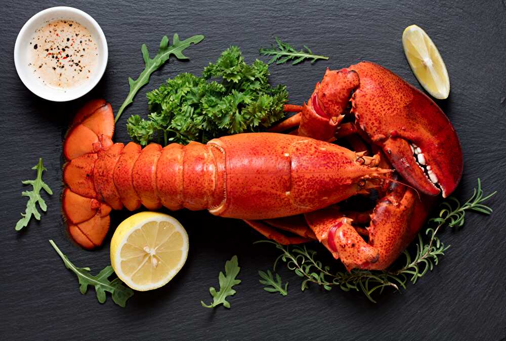 Les Meilleures recettes de Homard de nos blogueurs - Page 6 - RecettesMania