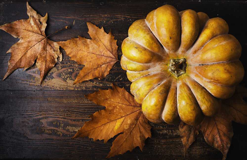 Les recettes avec de la Citrouille - RecettesMania