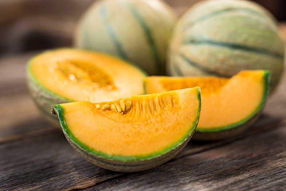 Les Meilleures recettes de Melon de nos blogueurs - Page 25 - RecettesMania