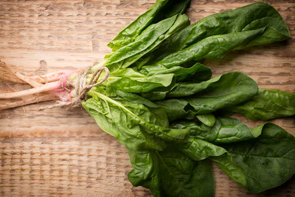 Les recettes avec des épinards - RecettesMania