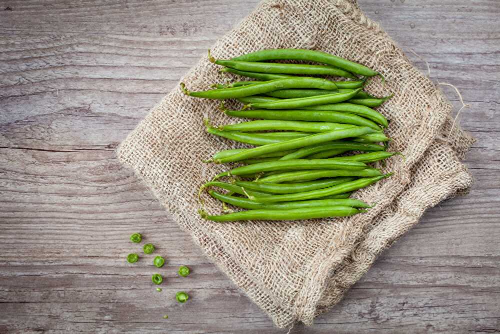 Les recettes avec des haricots verts - RecettesMania