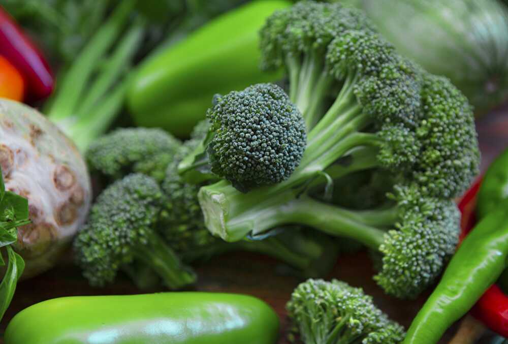 Les idées de cuisine avec des légumes verts - RecettesMania