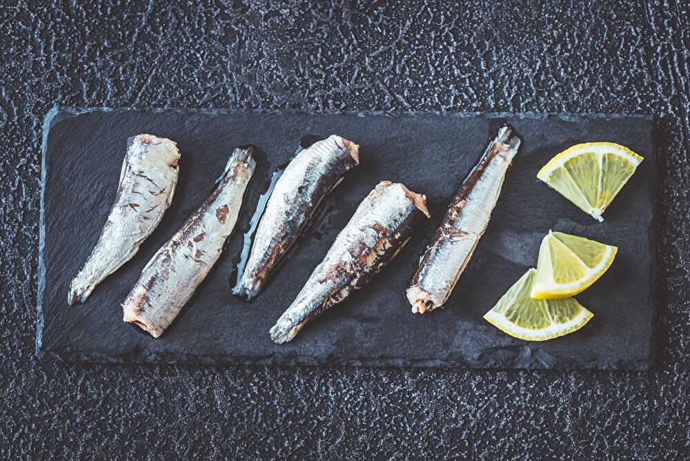 Les recettes avec de la sardine - RecettesMania